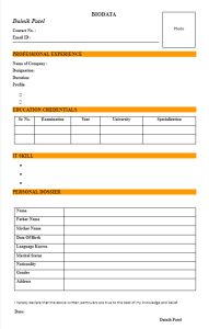Sample BIODATA Format in Word & PDF Download - Learning Container