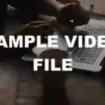 sample Archives - Learning Container